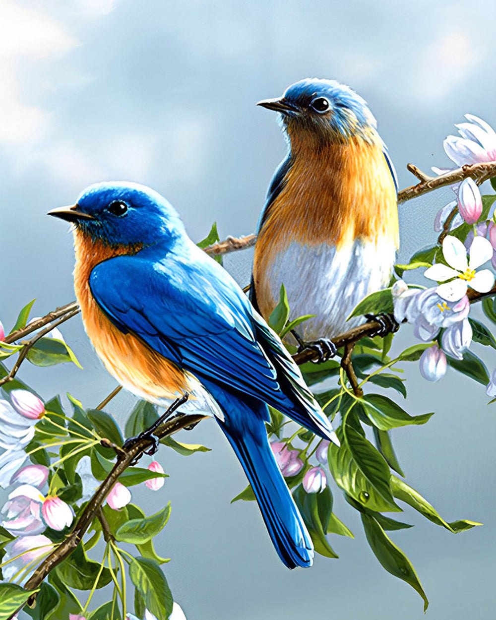 Diamond Painting Kaufen - Zwei Vögel auf einem Blumenzweig – Diamonddiy.de